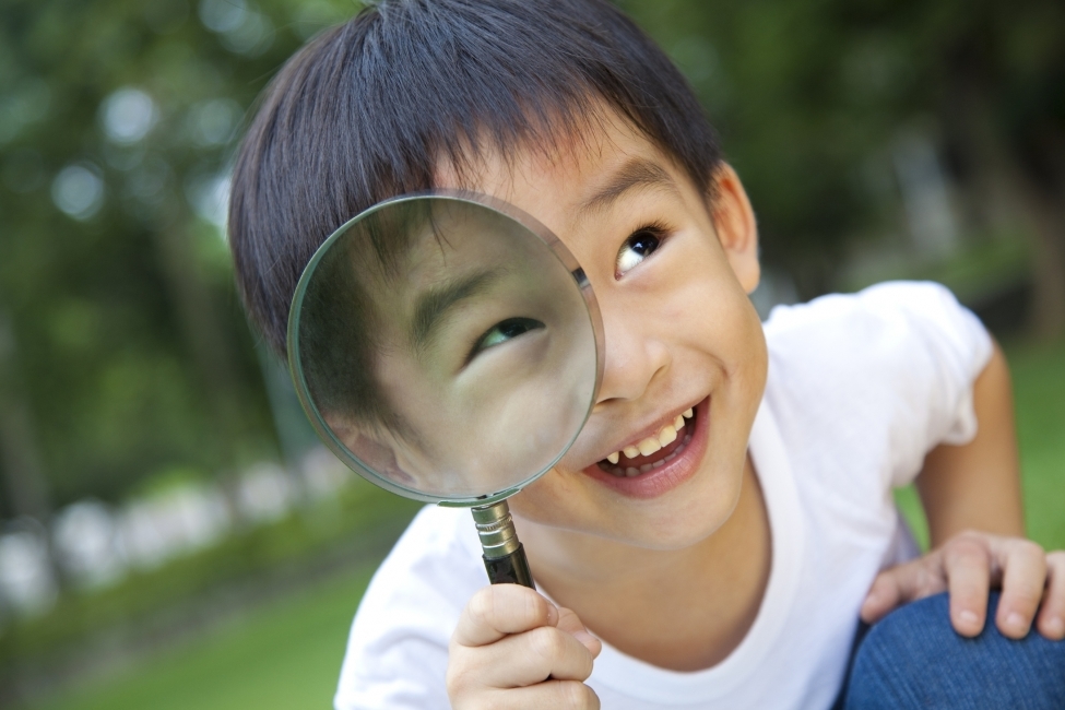 A Student’s Perspective - Cognia - The Source A Student’s Perspective - Cognia - The Source