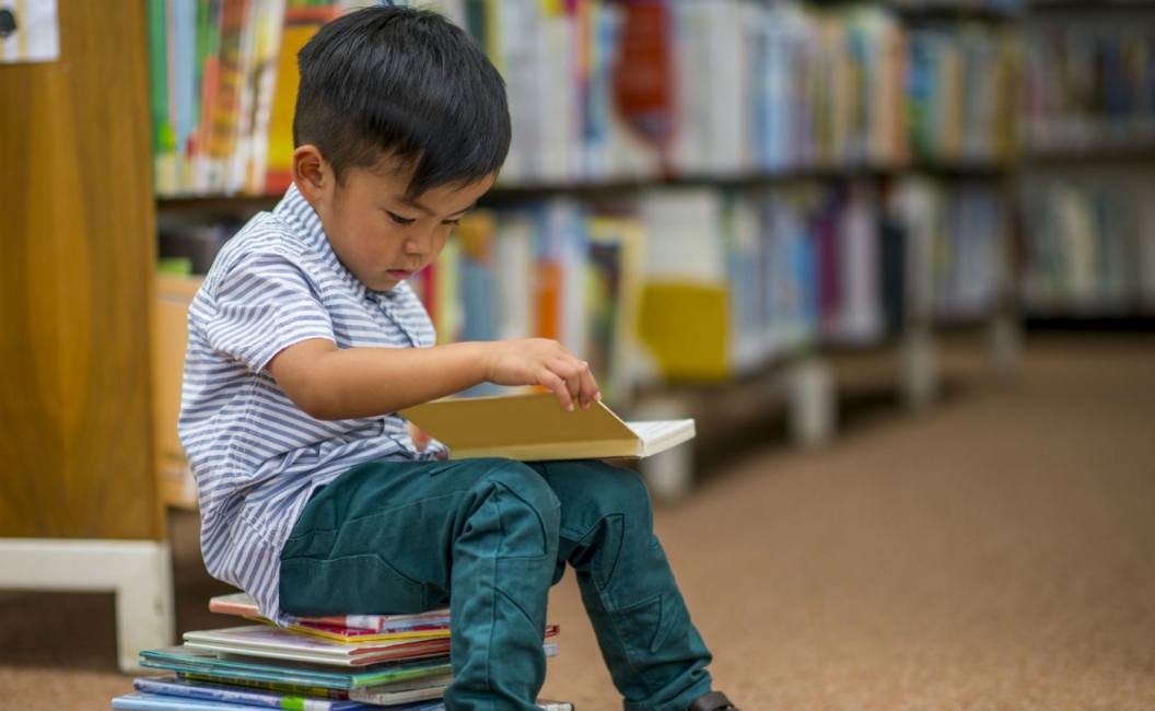 Reading for Engagement: How an emphasis on literacy can motivate ...