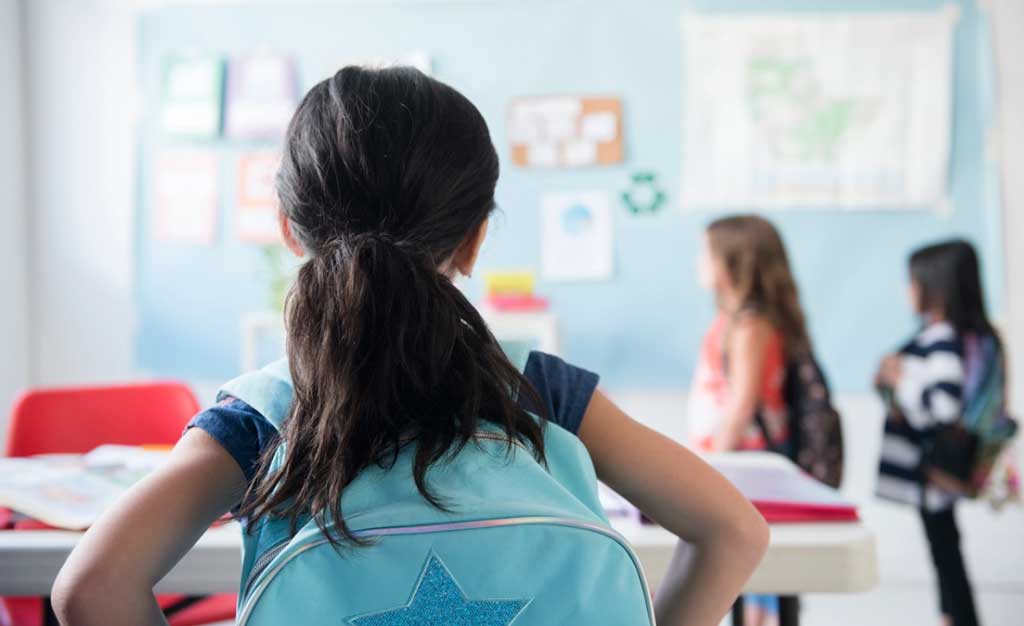 Back-to-School Readiness: Student Learning Needs and Focus - Cognia ...